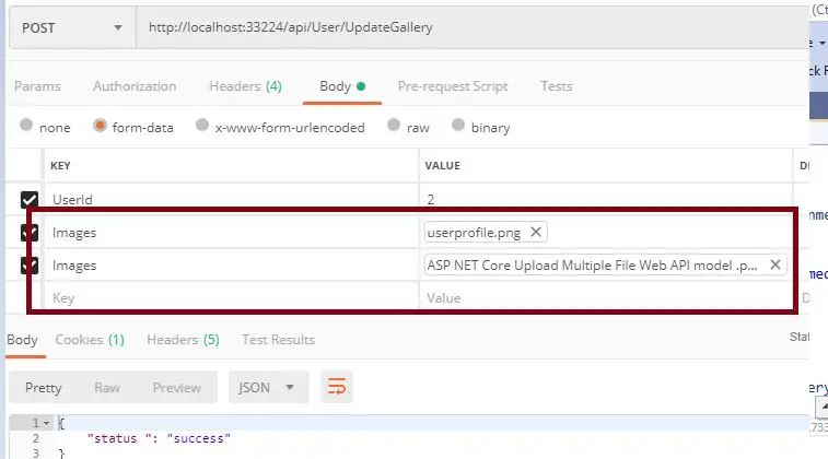 [simple Way] Asp Core Upload Multiple File Web Api Model